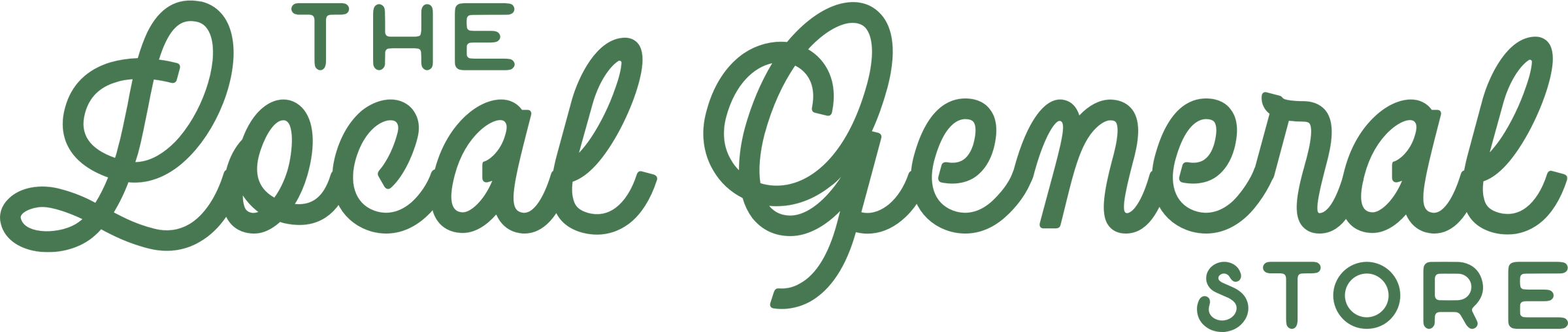 The Local General Store logo